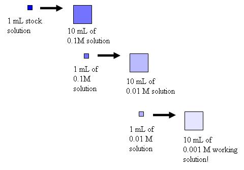 Untitled Document [www.raosyth.com]